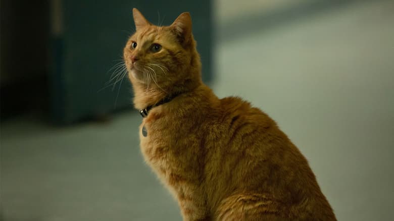 Captain Marvel's Cat Goose: What the Flerk is a Flerken? | Marvel
