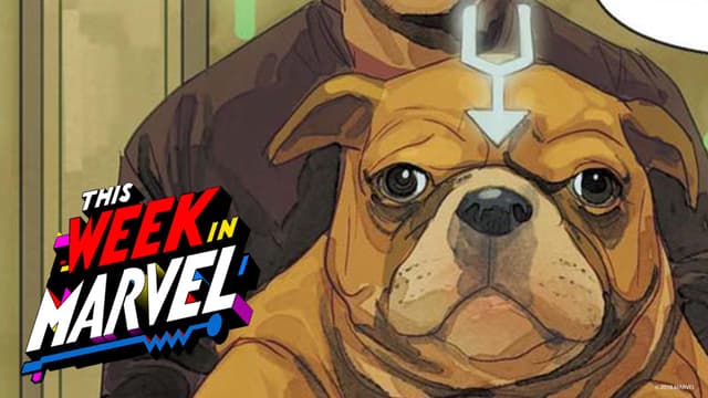 The goodest of the good boys! Marvel's Mightiest Dogs | This Week In ...