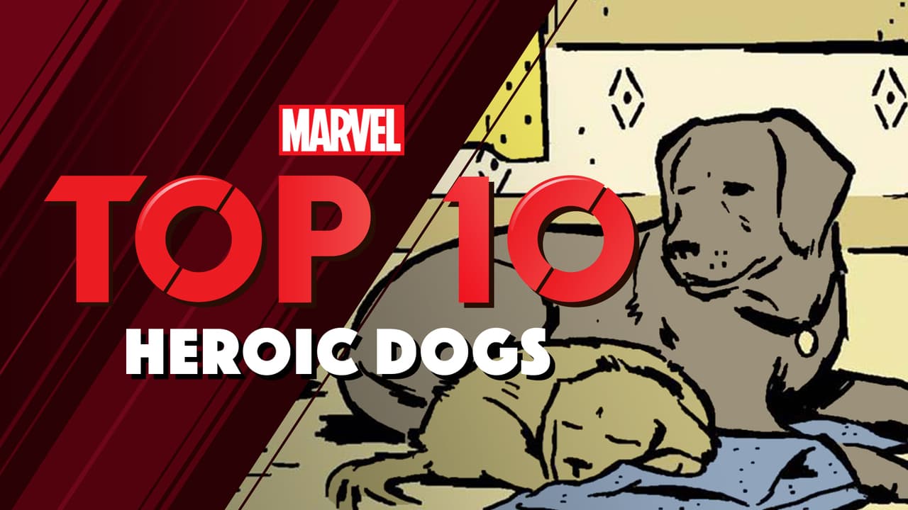 Heroic Dogs | Top 10 | Marvel
